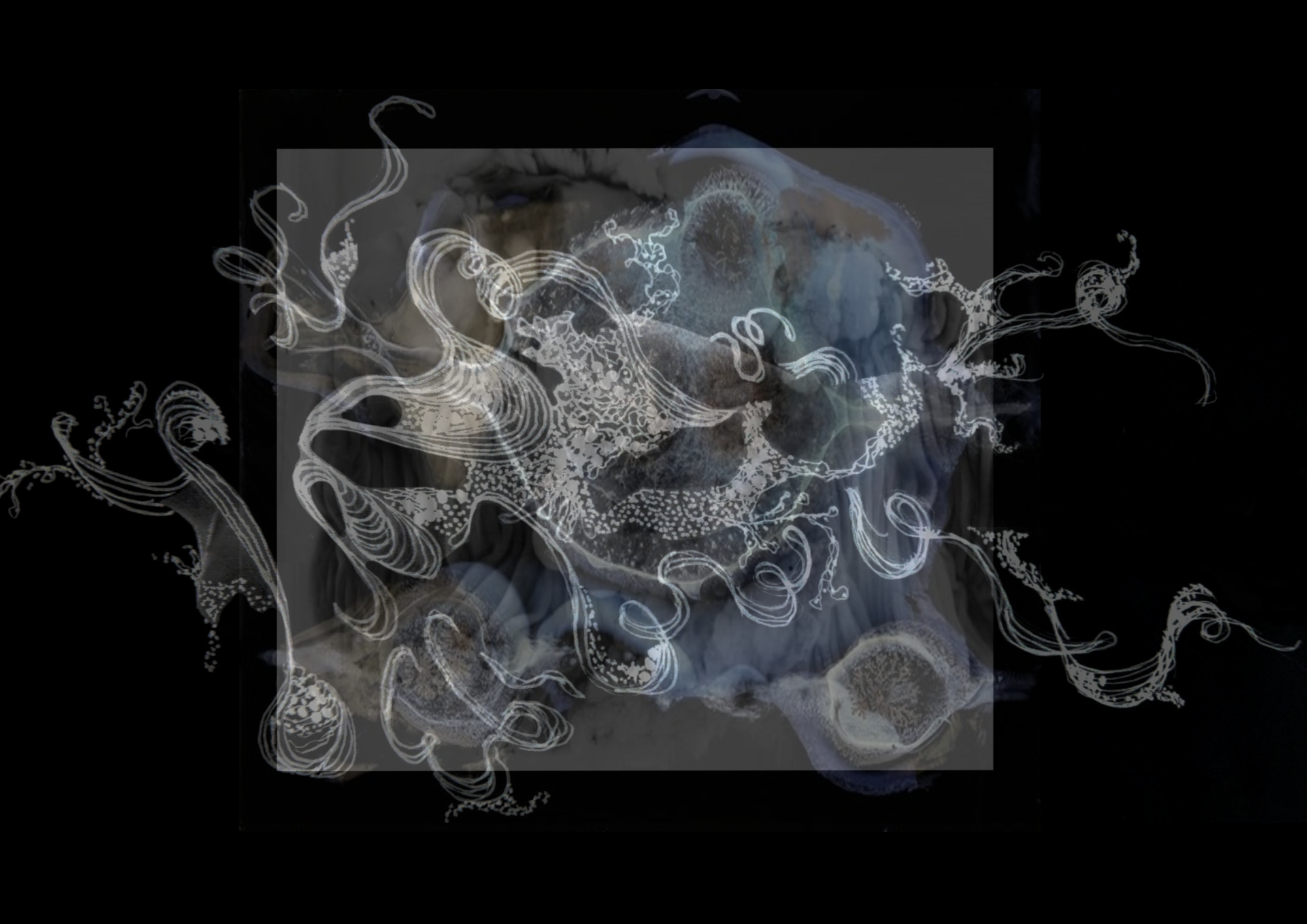 The Law of Duality - Abigail Gunning (Ziggy Gunn) - UAL Showcase