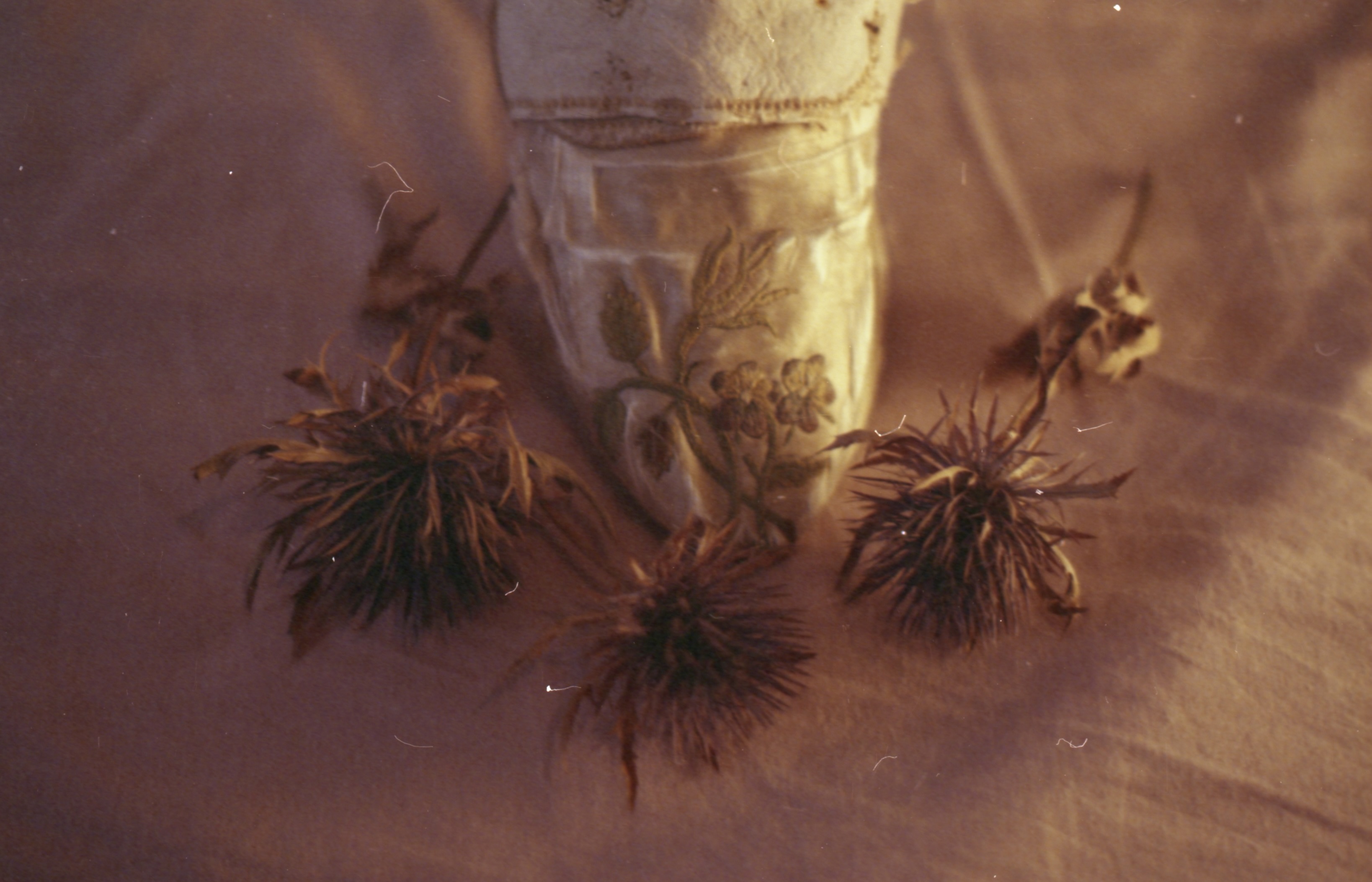 Memory/Loss: Curating Decay in Garment Collections - Emma Wichert - UAL ...