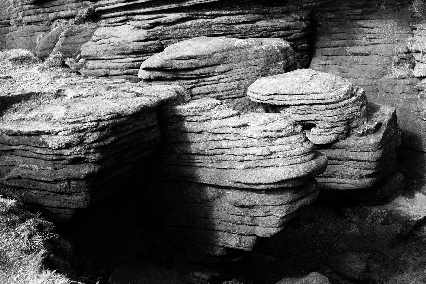 OL1: A Right to Roam - Ruby Harrison - UAL Showcase