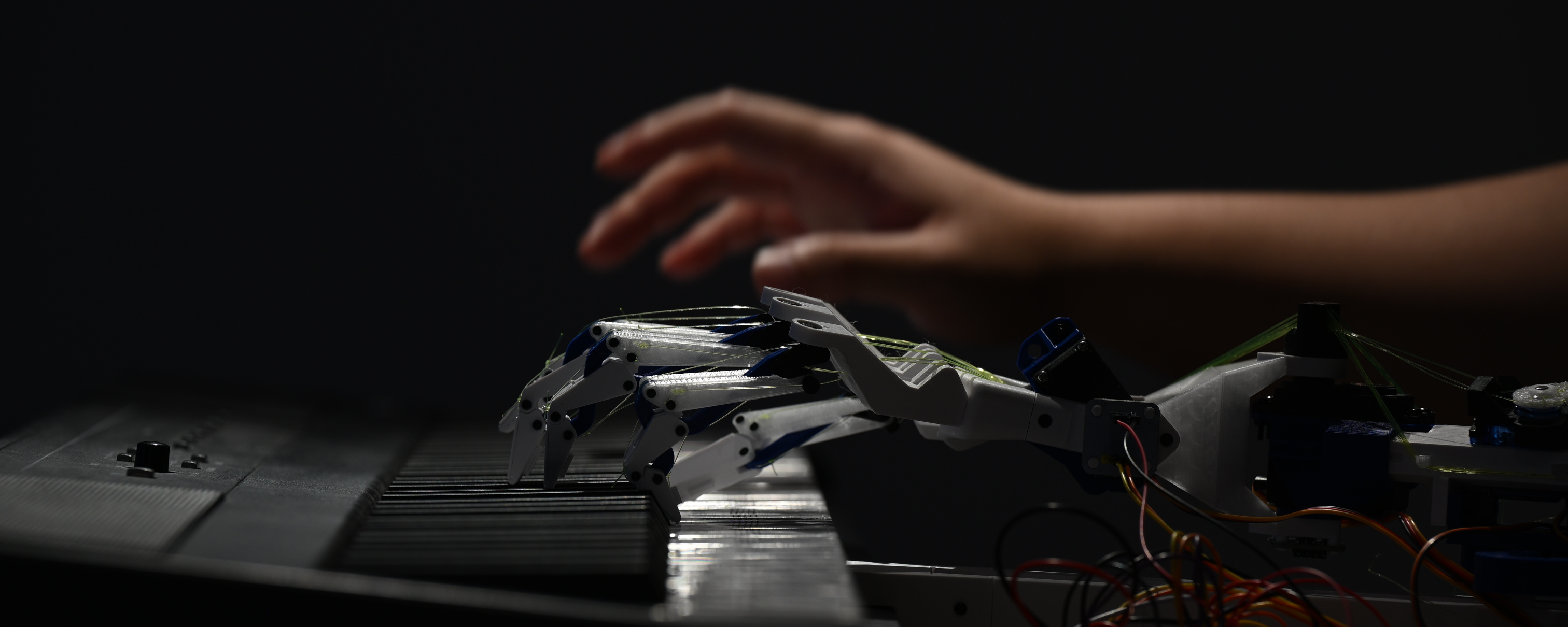 Symbion - Shuyang Wang - UAL Showcase