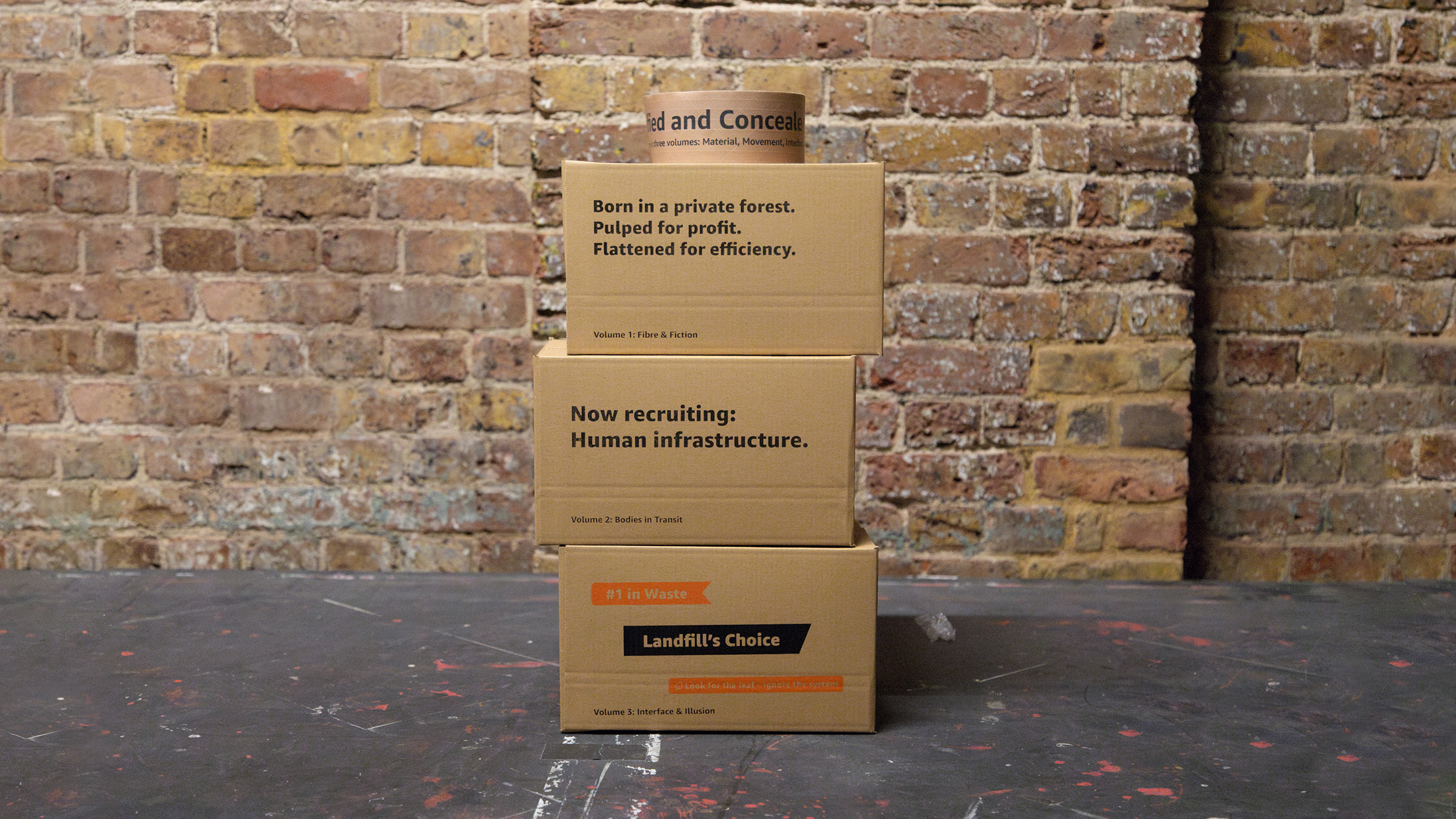 Certified and Concealed - Runxin Zheng - UAL Showcase