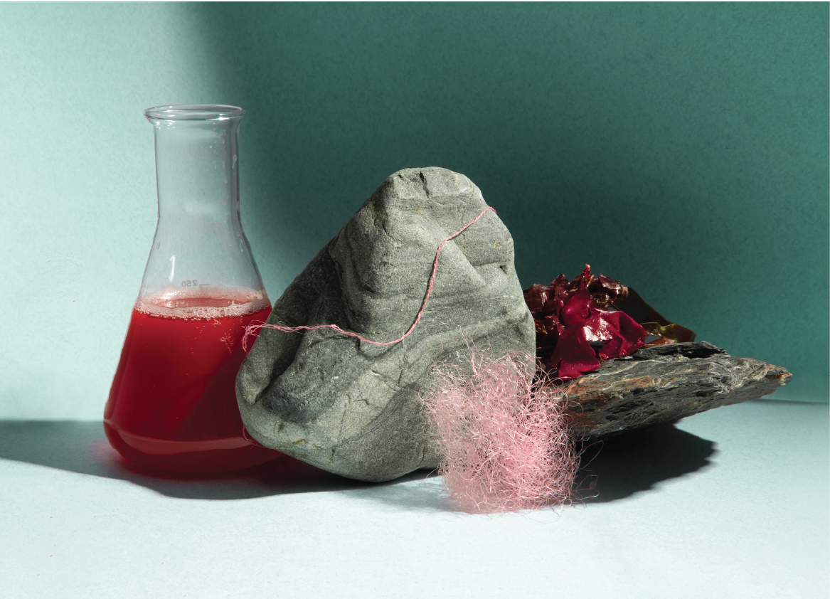 SEAFOLK - Jenna Handley - UAL Showcase