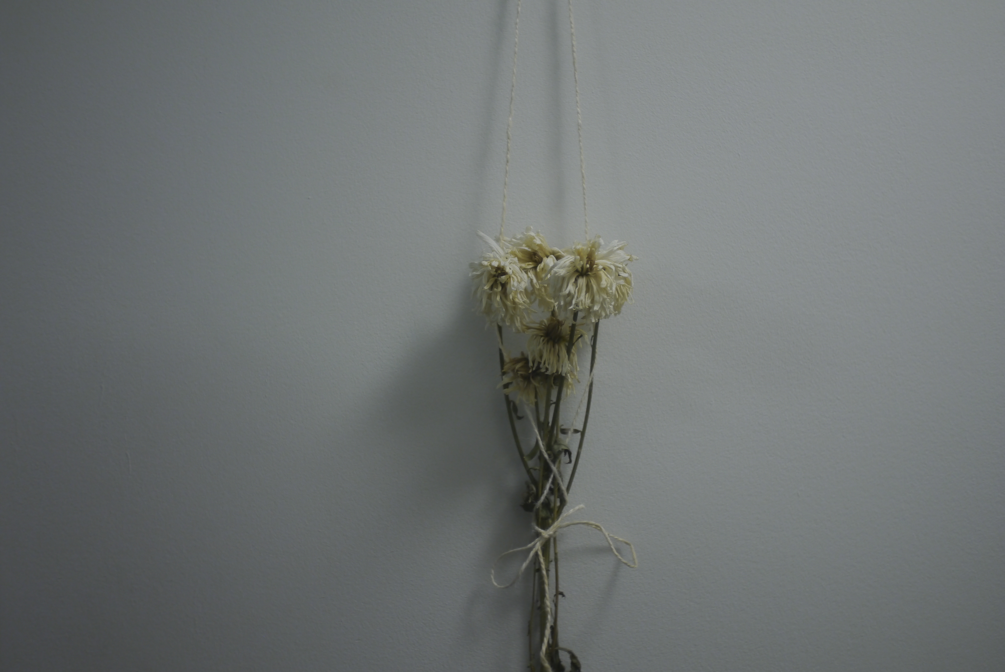 Twins and Identity - Reece Smith - UAL Showcase