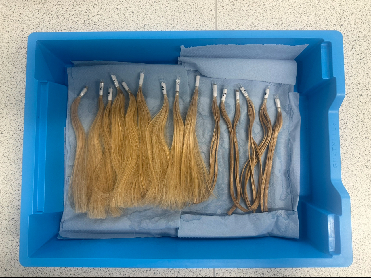 Effects of Hydrolysed and Oxidised Keratin on Hair - Nekpen Bello - UAL ...